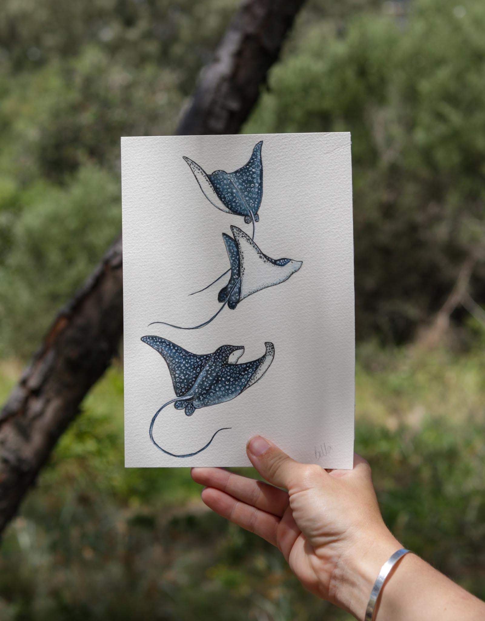 Spotted Eagle Ray Tattoo